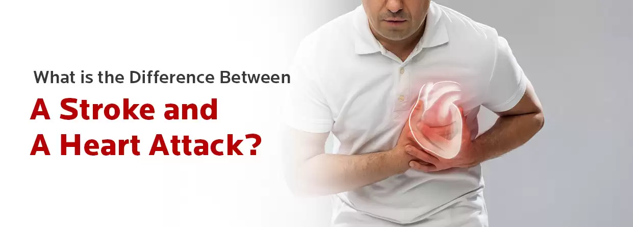 What is the difference between a stroke and a heart attack? - BMB
