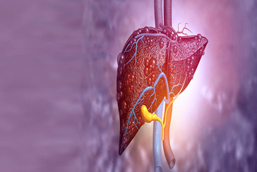 Fatty Liver: Causes, Symptoms And Diagnosis - RBH