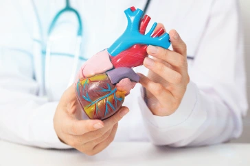 How Microplastics Affect Heart Health: Risks You Need to Know